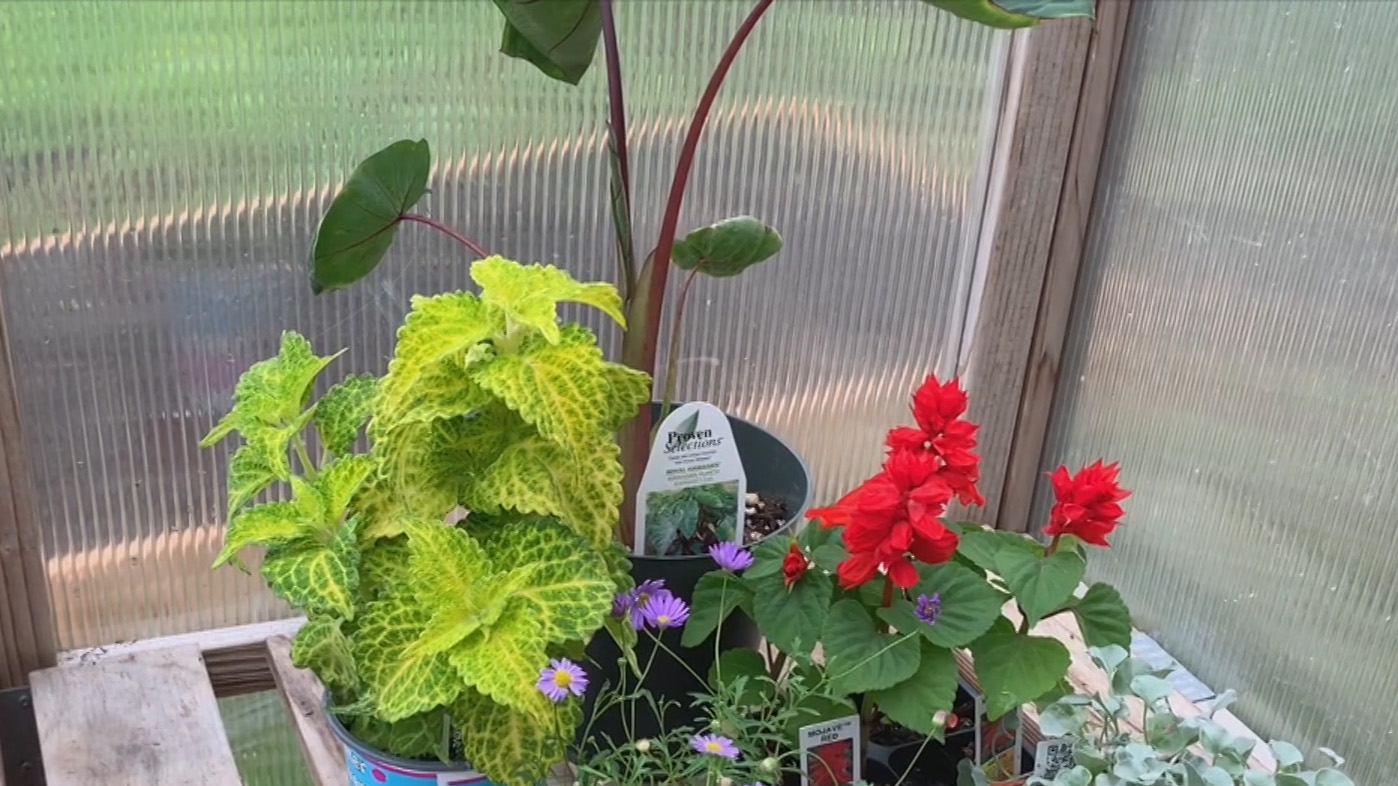 Making Mixed Containers | Iowa PBS