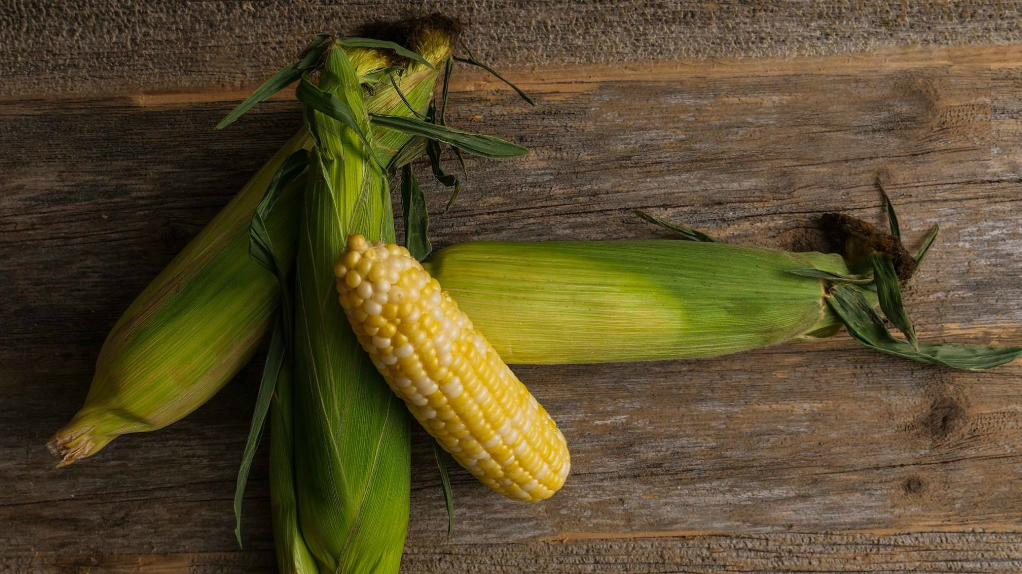 Sweet Corn | Iowa PBS