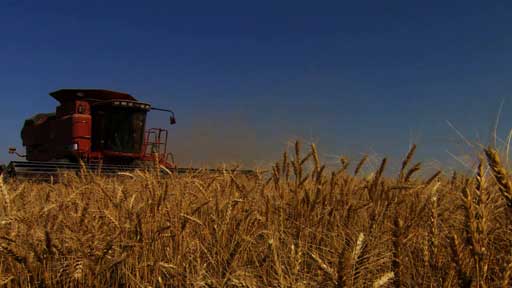 Farming Today Still Impacted by the Farm Crisis | Iowa PBS