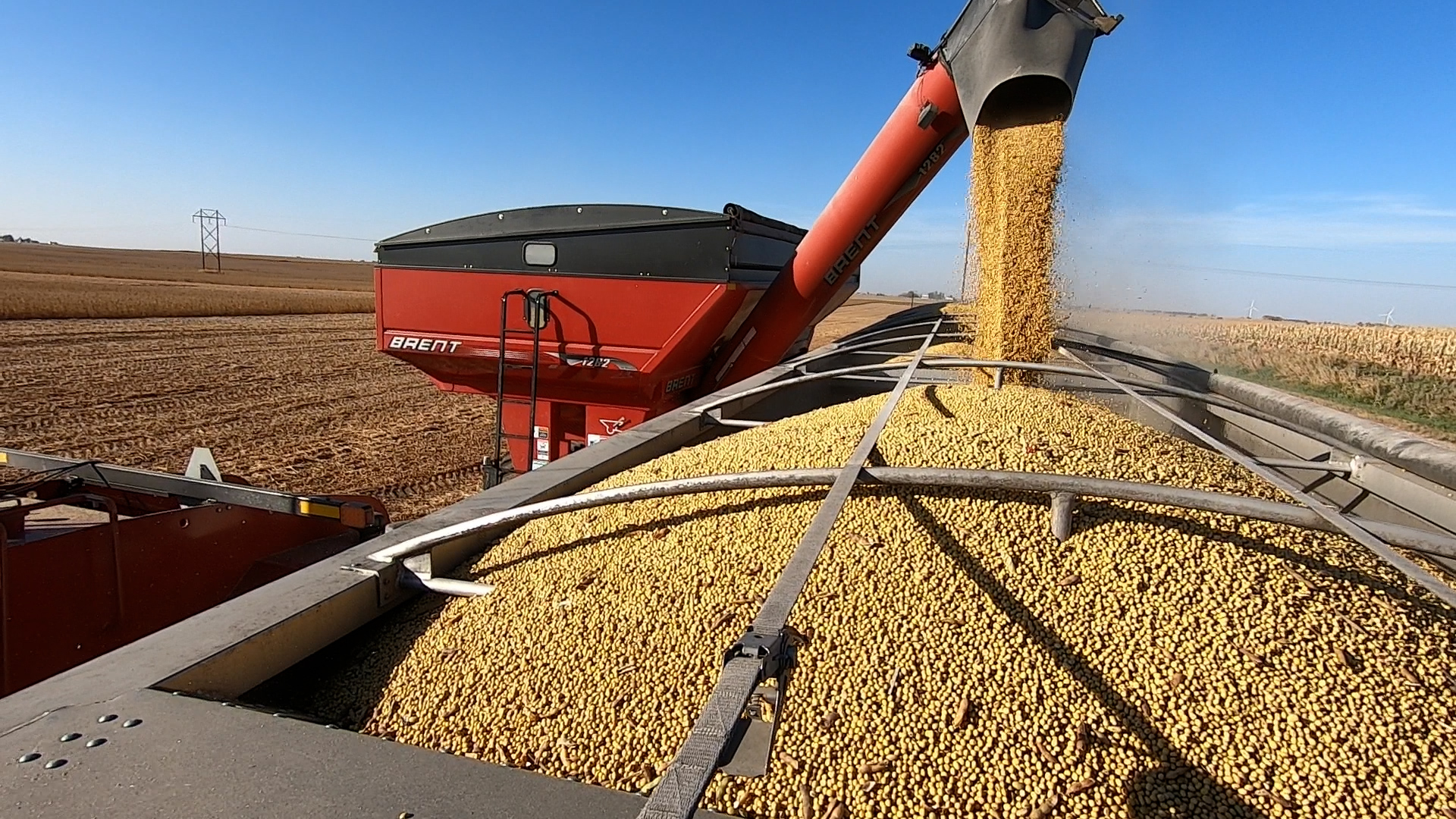 Soybean and fertilizer trade groups cite responsibility in feeding the ...