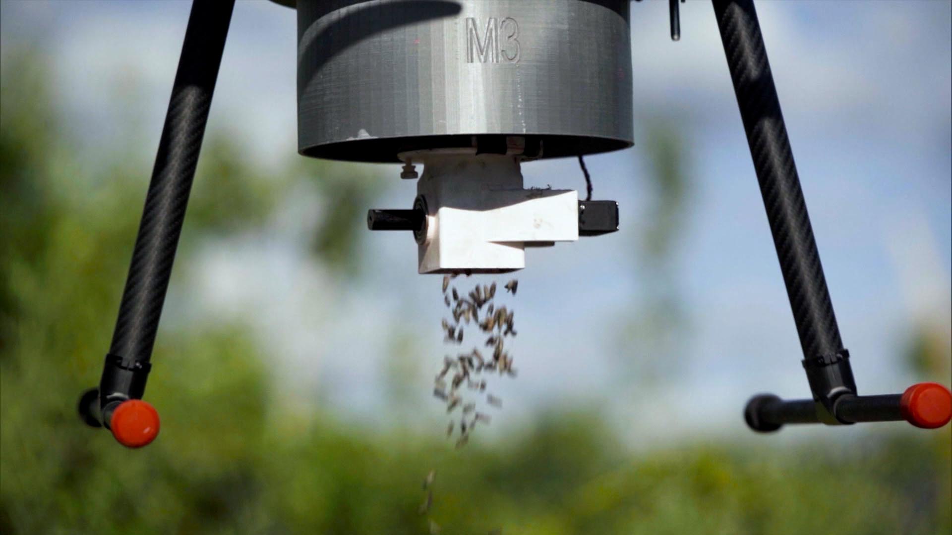 Drones Deliver Insects as Pesticide Alternative | Iowa PBS