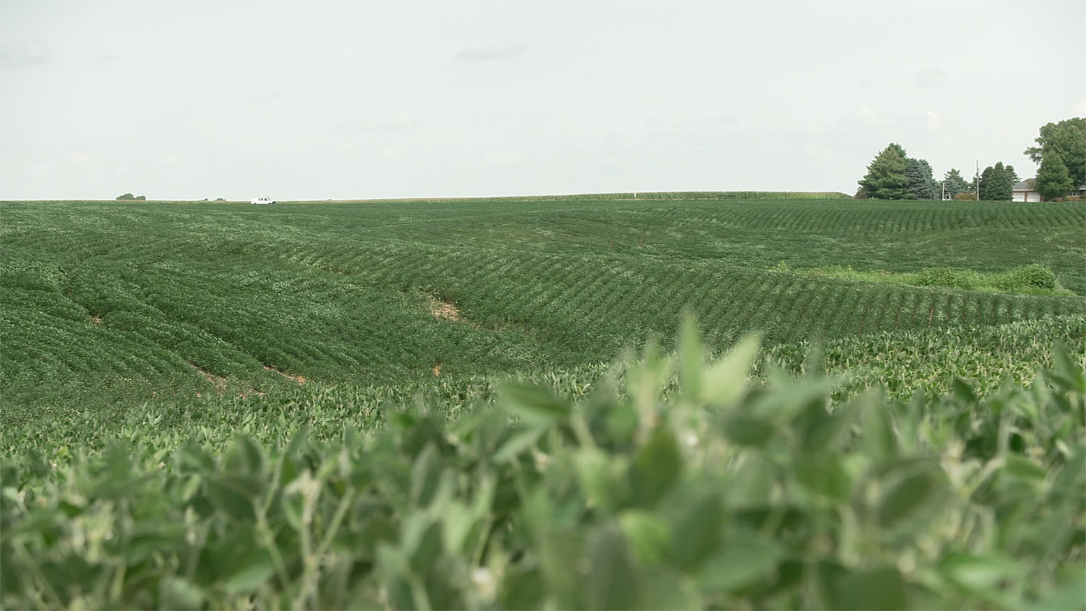 Watching land values rise and slow | Iowa PBS