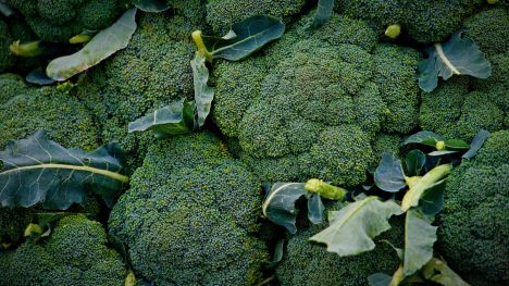 Ingredients | Iowa PBS