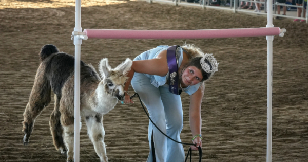 Day Ten: Iowa State Fair Photo Gallery | Iowa PBS